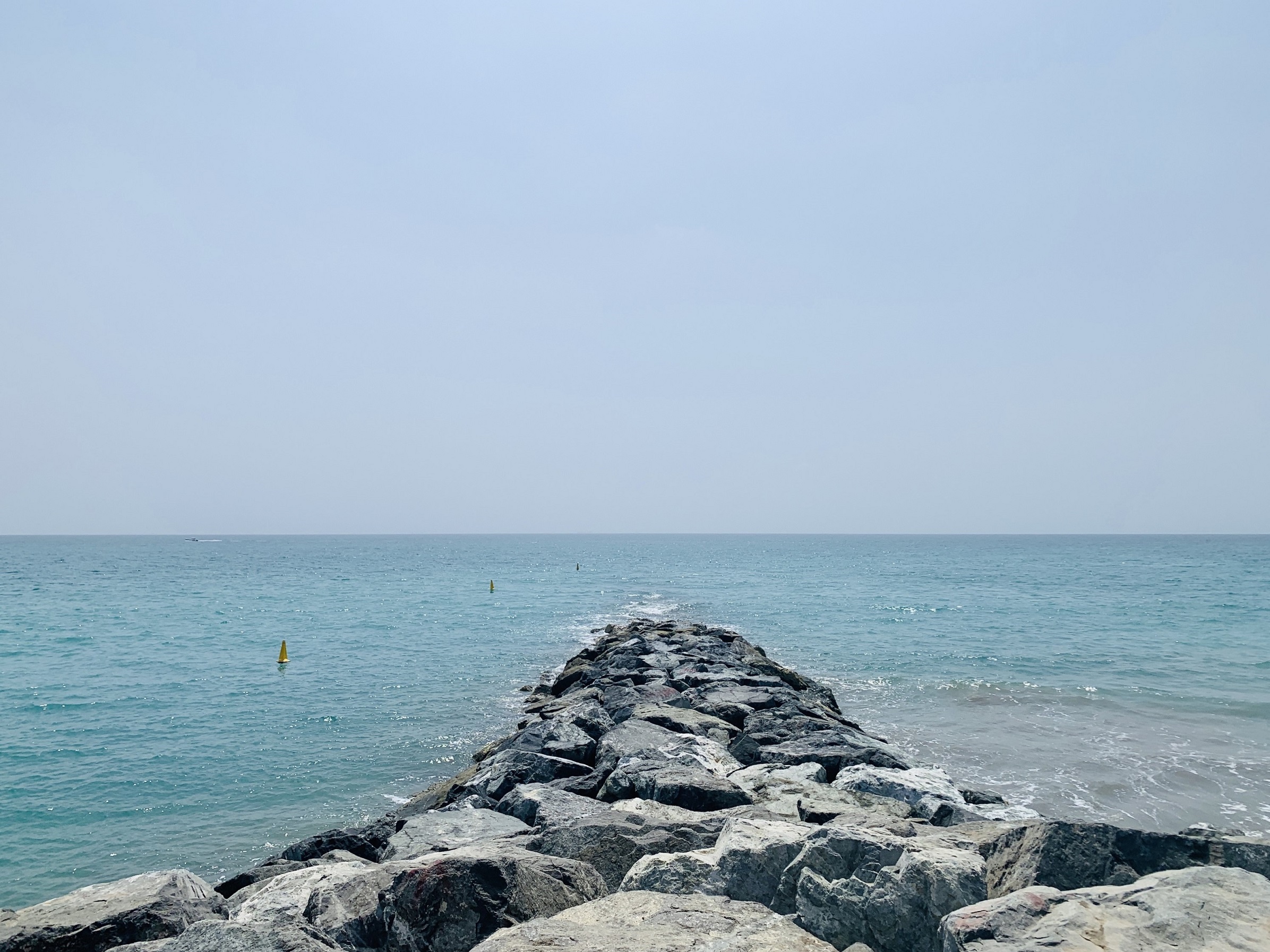 Services Mca Associates